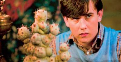 Neville and his Mimbulus Mimbletonia - SnitchSeeker.com