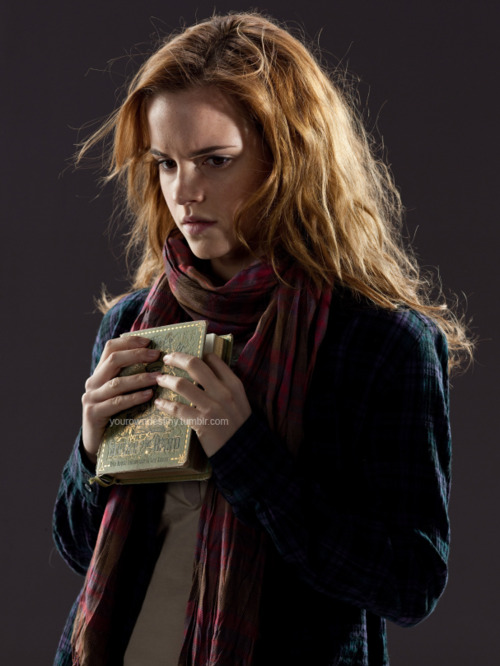 New Ron, Hermione with Tales of Beedle the Bard Deathly Hallows: Part I ...
